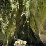 Patuna Chasm Walk, Wellington, New Zealand - 29 Reviews, Map | AllTrails