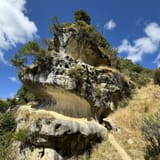 Patuna Chasm Walk, Wellington, New Zealand - 29 Reviews, Map | AllTrails