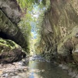 Patuna Chasm Walk, Wellington, New Zealand - 29 Reviews, Map | AllTrails