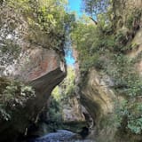 Patuna Chasm Walk, Wellington, New Zealand - 29 Reviews, Map | AllTrails
