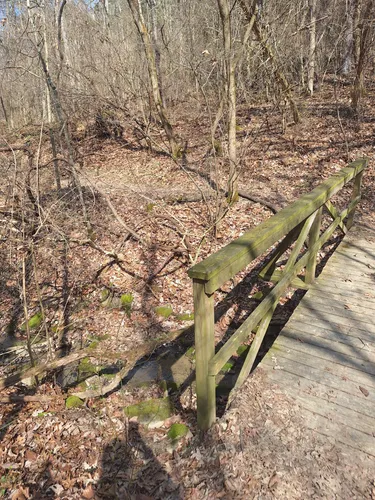 Best Hikes and Trails in Big Bone Lick State Park | AllTrails