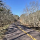 Berryman and Ozark Trail Loop, Missouri - 288 Reviews, Map | AllTrails
