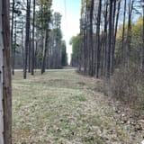 Berryman and Ozark Trail Loop, Missouri - 288 Reviews, Map | AllTrails