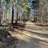 Berryman and Ozark Trail Loop, Missouri - 288 Reviews, Map | AllTrails