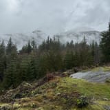 Heybrook Ridge via Leovy Trail, Washington - 1,572 Reviews, Map | AllTrails