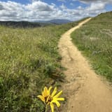 Autumn Ridge Trail, California - 397 Reviews, Map | AllTrails