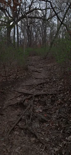 Best Hikes and Trails in Maple Woods Nature Preserve | AllTrails