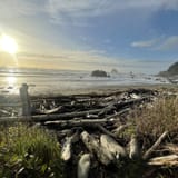 Hidden Beach Trail from Hwy 101, California - 120 Reviews, Map | AllTrails