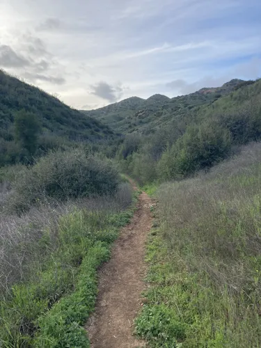 Best Easy Trails in Paramount Ranch | AllTrails
