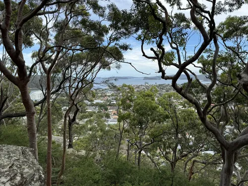 Best Hikes and Trails in Blackwall Mountain Reserve | AllTrails