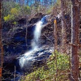 Hidden Falls Trail, South Carolina - 714 Reviews, Map | AllTrails