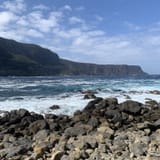 Shipsterns Bluff Loop, Tasmania, Australia - 81 Reviews, Map | AllTrails