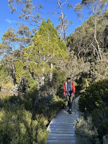 Best Short Trails in Mount Field National Park | AllTrails