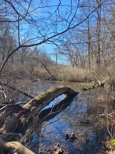 Best Hikes and Trails in David Weld Sanctuary | AllTrails