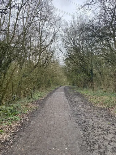 Best Hikes And Trails In Wickford Memorial Park Alltrails