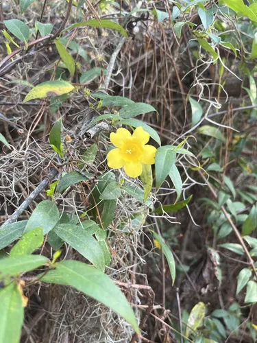 Best Hikes and Trails in Jarvis Creek Park | AllTrails