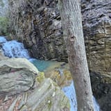 Devil's Racetrack Trail, Tennessee - 597 Reviews, Map | AllTrails