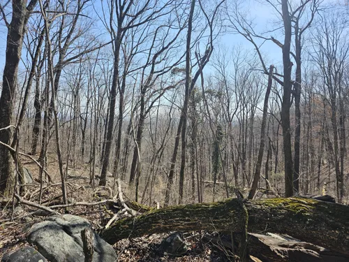 Best Hikes and Trails in Walden's Ridge Park | AllTrails