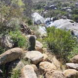 Sutherland Trail, Arizona - 240 Reviews, Map | AllTrails