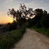 Fryman Canyon Trail, California - 6,148 Reviews, Map | AllTrails