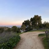 Fryman Canyon Trail, California - 6,148 Reviews, Map | AllTrails