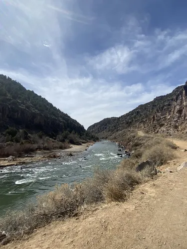 Best Dog Friendly Trails in Arroyo Hondo | AllTrails