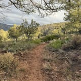 Pine Canyon, Pine View, Highline, and Arizona Trail Loop, Arizona - 641 ...
