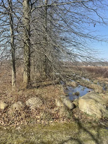 Best Hikes and Trails in Sandy Ridge Reservation | AllTrails