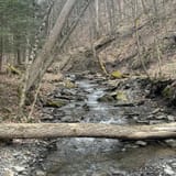 Tinker Falls Trail, New York - 496 Reviews, Map | AllTrails