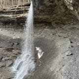Tinker Falls Trail, New York - 552 Reviews, Map | AllTrails