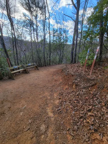 Best Hikes and Trails in Western Carolina University Trail System ...