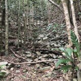 Reef Bay Trail, Saint John, US Virgin Islands - 1,078 Reviews, Map ...