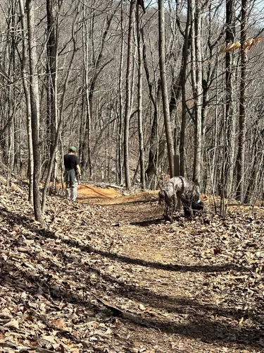 Walden's Ridge Park: Die besten Routen zum Wandern | AllTrails