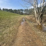 Heath Lake Loop, Georgia - 413 Reviews, Map | AllTrails