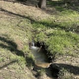 Heath Lake Loop, Georgia - 413 Reviews, Map | AllTrails