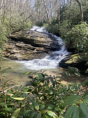 Best Hikes and Trails in Scaly Mountain | AllTrails