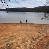 Lake Blue Ridge Loop , Georgia - 846 Reviews, Map | AllTrails