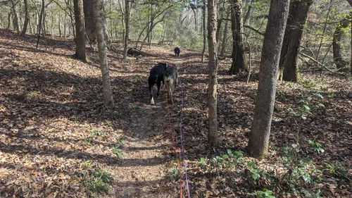 Best Historic Site Trails in Pauline | AllTrails