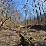 Spring Hollow Trail, Ohio - 783 Reviews, Map | AllTrails