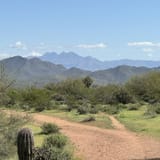 Coon Bluff Trail, Arizona - 775 Reviews, Map | AllTrails