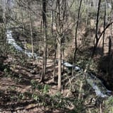 Fall Branch Falls Trail, Georgia - 1,175 Reviews, Map | AllTrails