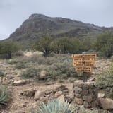 Wilson Mountain Trail, Arizona - 1,123 Reviews, Map | AllTrails