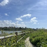 Back Bay Loop Trail, California - 1,914 Reviews, Map | AllTrails
