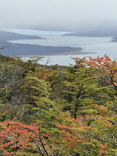 Best Hikes and Trails in Magallanes Peninsula Provincial Reserve ...