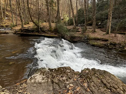 Best Forest Trails in Circleville | AllTrails