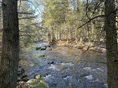 Best Hikes and Trails in Nathan B. and Anne Perry Talbot Wildlife Area ...