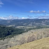 Weldon Wagon Road Trail, Washington - 532 Reviews, Map | AllTrails