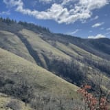 Weldon Wagon Road Trail, Washington - 532 Reviews, Map | AllTrails