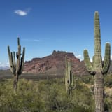 Hawes Ridge Loop, Arizona - 2,742 Reviews, Map | AllTrails