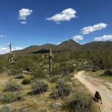 Hawes Ridge Loop, Arizona - 2,742 Reviews, Map | AllTrails